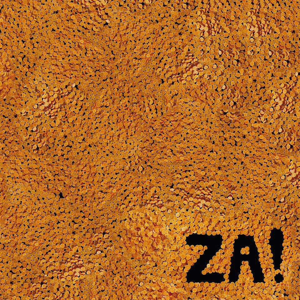 Za ma Za ta Za … unique et plurielle, consonnes et voyelles, rimes en ...